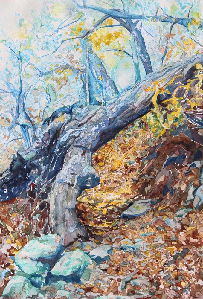 Gallery | Washington Water Color Association